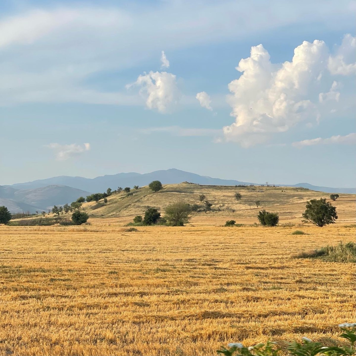 SteCi met een omweg – SteCi (z) onderweg